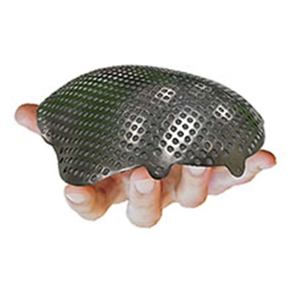 3D Global Biotech Inc. 3D BioForming